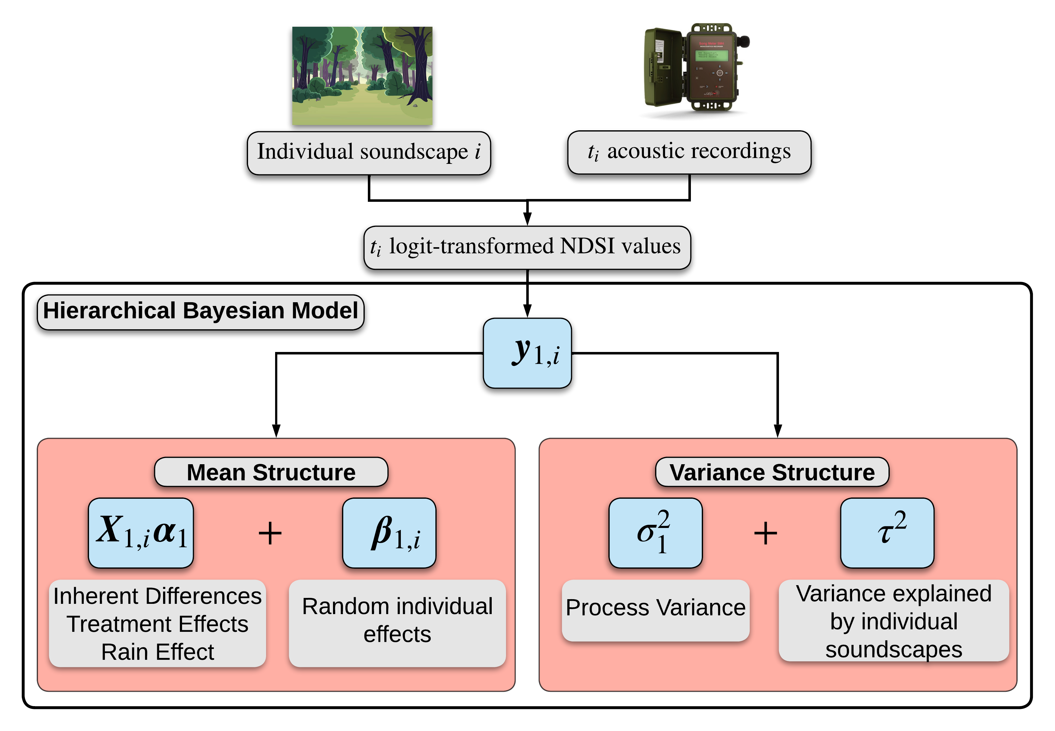 Using autonomous monitoring systems to inform forest and wildlife ...